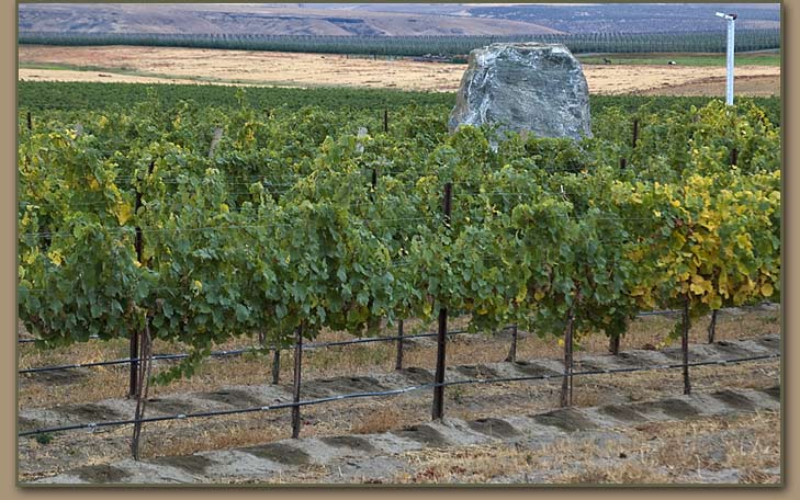 World Class Wines From Washington State Thanks to Ice Age Floods